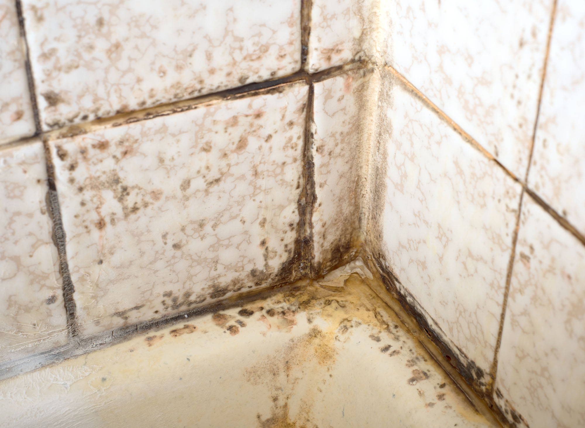 Shower-grout – Using Your Suvie